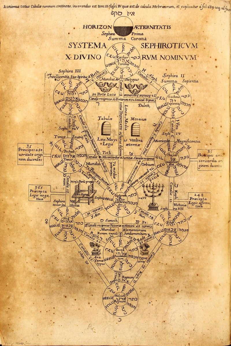 生命の樹｜Lotus Garden
